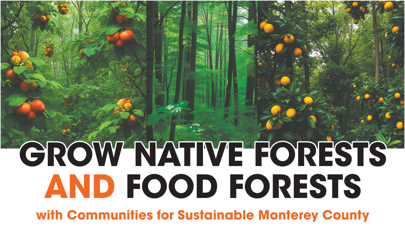 MCGives 2024 - Urban Food Forests - Communities for Sustainable ...